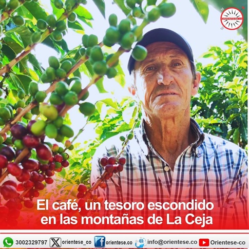 El Café, un tesoro escondido en las montañas de La Ceja - Orientese co